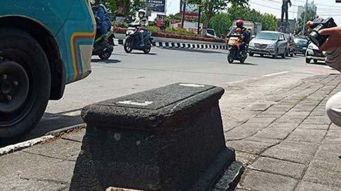 Sekali Lirik Hewan Lain Lemas, Ini Kisah Nyai Tembong Kucing Kesayangan ...