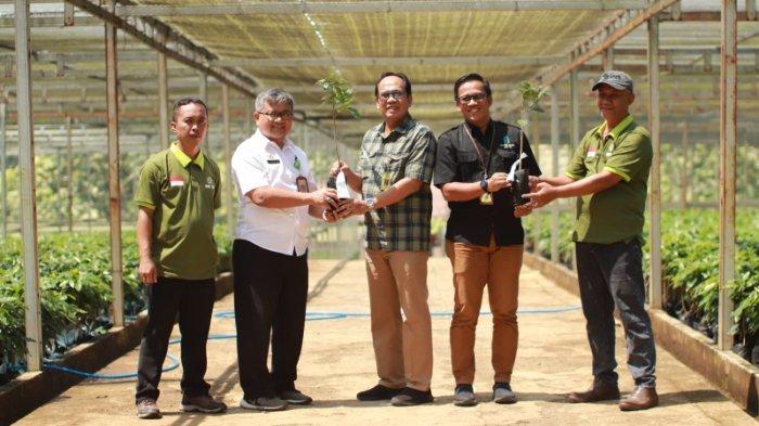 UNSOED Peroleh Bibit Kopi & Kelapa Dari BPSI-TRI Kementerian Pertanian ...