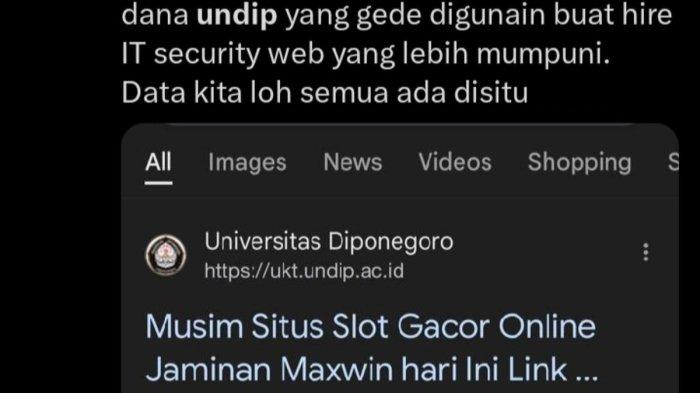 Aplikasi SSO Undip Tampilkan Promosi Judi Online, Pihak Kampus Buka ...