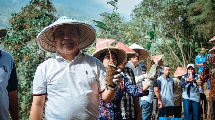 Aksi Tanam Pohon Teh dan Saman Jadi Momentum Peringati Hari Lingkungan ...