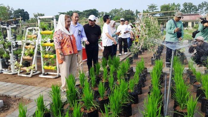 Semarang Agro Expo 2024 di Balai Benih Mijen, Tahun Ini Lebih Meriah, Pamerkan Pertanian Terpadu ...