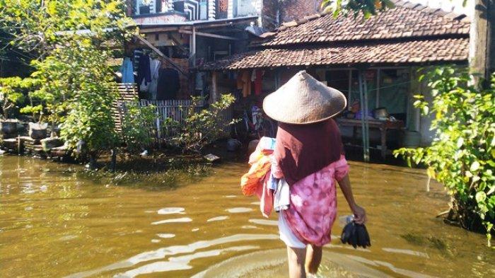 Cerita Warga Payaman Kudus 2 Pekan Mengungsi, Ginarti Ikut Pulang Meski Rumahnya Masih Banjir ...