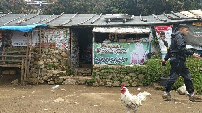 Sosok Mbok Yem Meninggal, Relawan: Tidak Naik Gunung Lawu Lagi Seusai ...