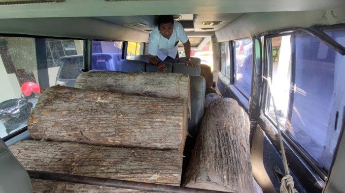5 Kelebihan Kayu Jati Dibanding Kayu Lain, Pilihan Utama bagi Pencari ...