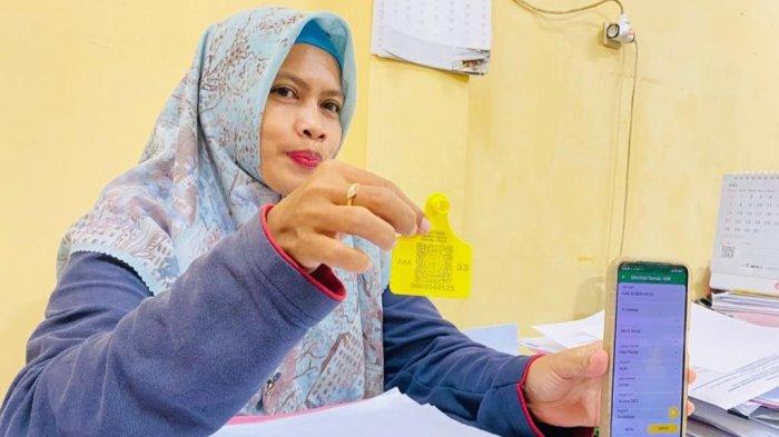 Cek Kesehatan Hewan Ternak Sudah Vaksin PMK atau Belum Lewat Aplikasi ...