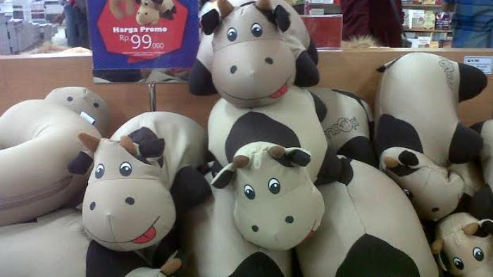 Asyik, Beli Boneka Multi Fungsi Gramedia Kini Tanpa Syarat ...
