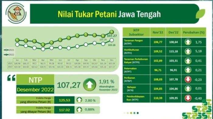 Nilai Tukar Petani di Jateng Bulan Desember 2022 Naik 1,91 Persen - Tribunjateng.com