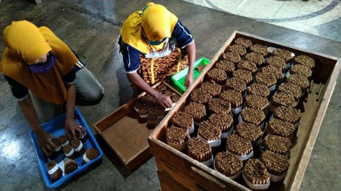 Ribuan Pensiunan Buruh Rokok Diusulkan Terima Bantuan Iuran JKN ...