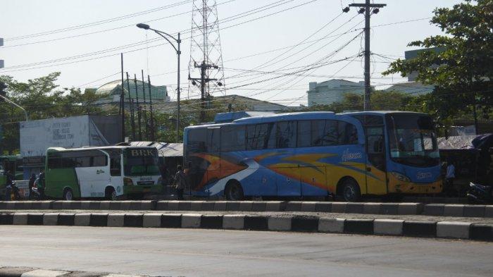 Wajah Preman Eks Terminal Terboyo Semarang yang Diringkus Setelah Jotos ...
