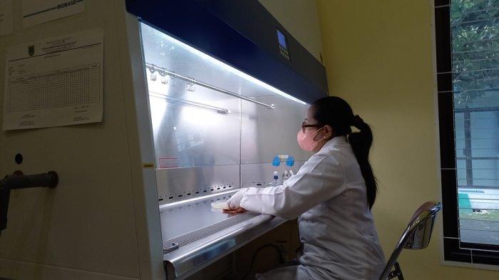 Tahun Ini Labkesda Kudus Naik Standar Jadi BSL 2, Fasilitas Mulai ...