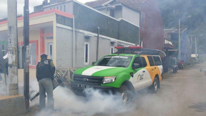33 Provinsi Melaporkan Kasus DBD, Ini Cara Pencegahan Praktis dari ACT ...