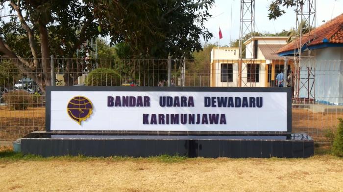 Dua Pohon Besar di Halaman Bandara Karimun Jawa itu Bernama Dewadaru ...