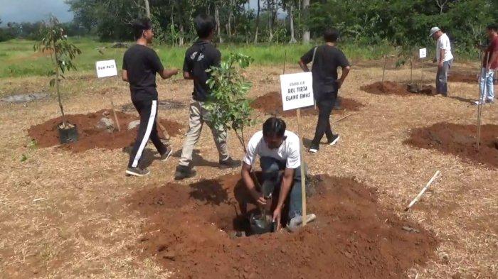 DLH Pati Bersama Pengusaha Air Minum Tanam Ratusan Pohon di Kawasan Lereng Gunung Muria ...