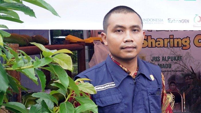 Ini Istimewanya Alpukat AWE Asal Wonotunggal, Juarai Kontes di Festival ...