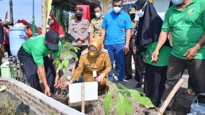Tukar Botol Plastik untuk Dapatkan Bibit Tanaman - Tribunjateng.com