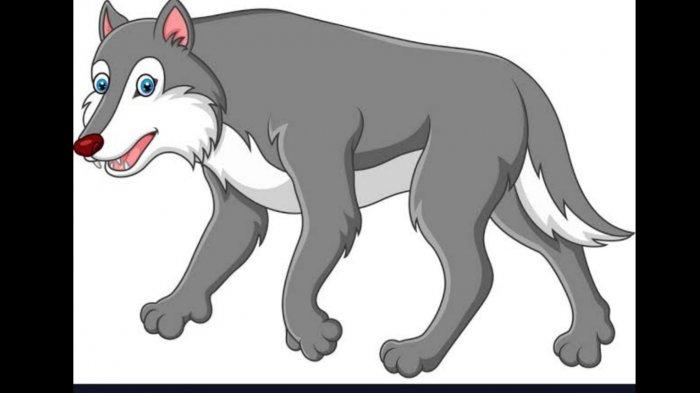 Dongeng Fabel Anak Kambing dan Seruling Serigala - Tribunjateng.com