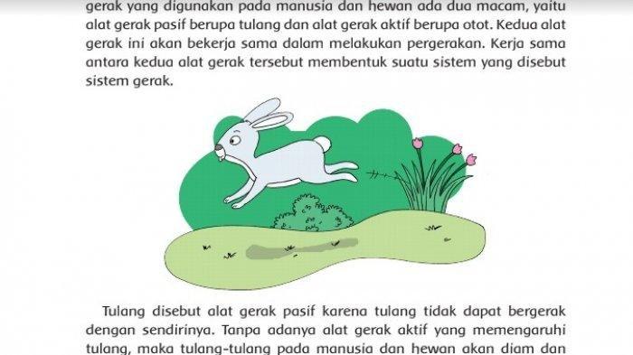 Kunci Jawaban Tema 1 Kelas 5 SD halaman 70 71 72 73 Subtema 2 Pembelajaran 2 Ide Pokok Paragraf ...