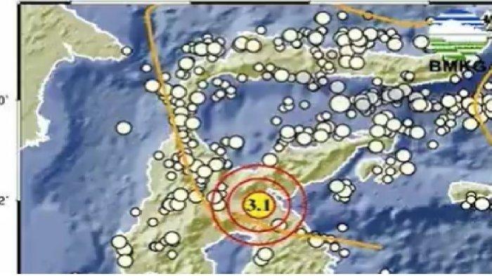 Gempa Bumi 8 Kali Dalam 7 Jam Kamis 1 Februari 2024, Cek Jarak dan Lokasi, Rilis BMKG ...
