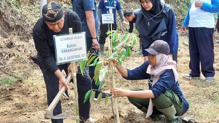 Gerakan Karanganyar Ijo Royo-royo, Ratusan Batang Pohon Buah Ditanam di ...
