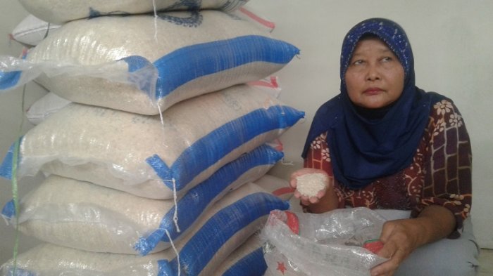 Jokowi Soroti Kenaikan Harga Beras, Ini Penjelasan Dirut Bulog Budi Waseso - Tribunjateng.com