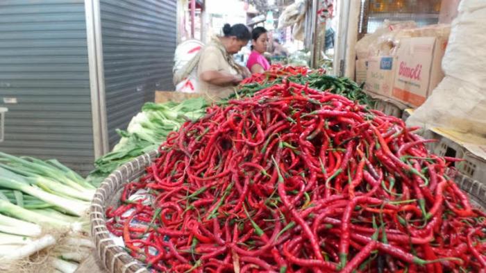 Harga BBM Naik, Cabai Keriting Merah di Semarang Ikut Meroket Tembus Rp 90 Ribu Per Kg ...