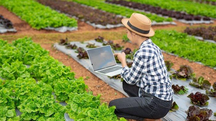 Program Petani Milenial 2024 Ada di Mana Saja? Cek Syarat Dapat Gaji Rp 10 Juta per Bulan ...