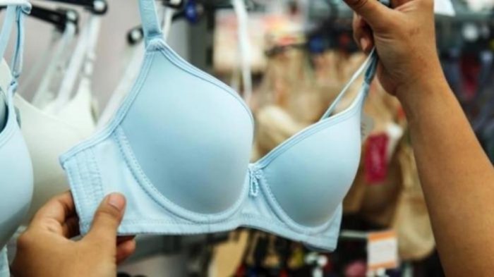 Kelakuan Maling Bobol Ruko Pakai Topeng Pakaian Dalam Wanita Terekam CCTV, Identitas Tetap ...