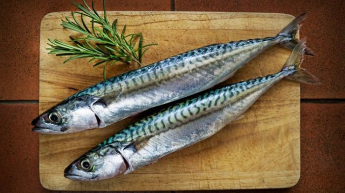 Sering Dikira Sama, Begini Cara Membedakan Ikan Makarel dengan Sarden ...