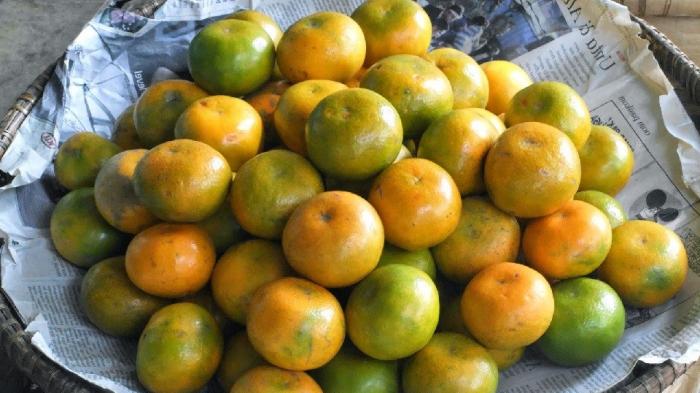 Jeruk Banyuwangi Banjiri Pasar Johar, Ini Sebabnya - Tribunjateng.com