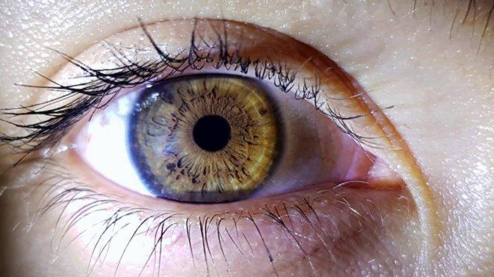 Doa Agar Pendengaran dan Penglihatan Selalu Sehat - Tribunjateng.com