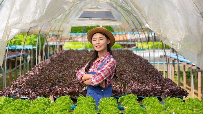 Kapan Terakhir Mendaftar Program Petani Milenial Jawa Barat 2024 ...