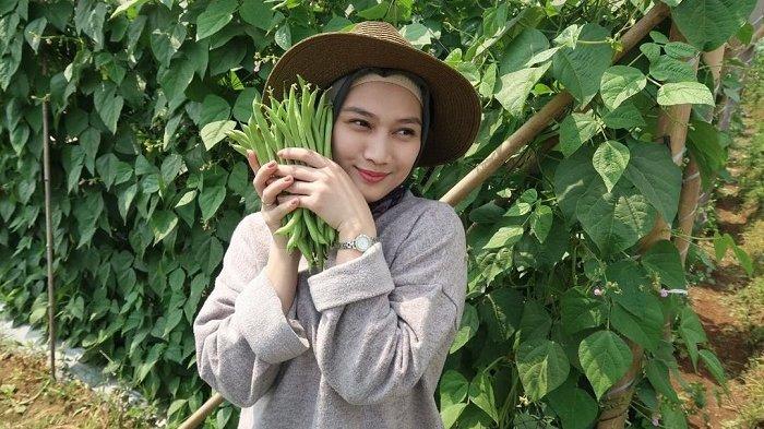 Cara Dapat Gaji Lebih dari Rp 10 Juta Sebulan Daftar Petani Milenial 2024, Simak 4 Syarat ...