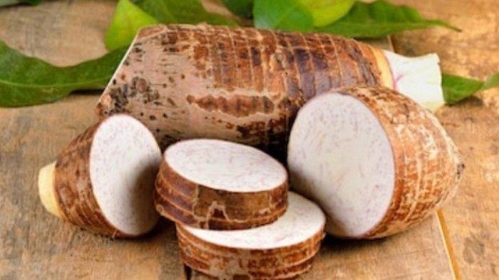 Manfaat Tanaman Busil, Memiliki Kandungan Gizi Tinggi, Bisa untuk Bahan ...