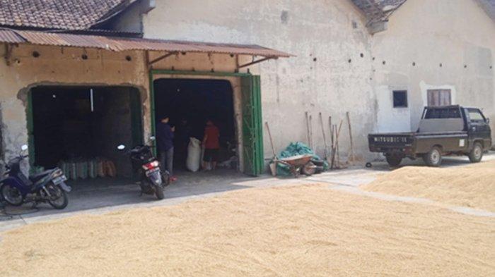Ternyata hanya Segini Harga Beras di Tempat Penggilingan Padi ...