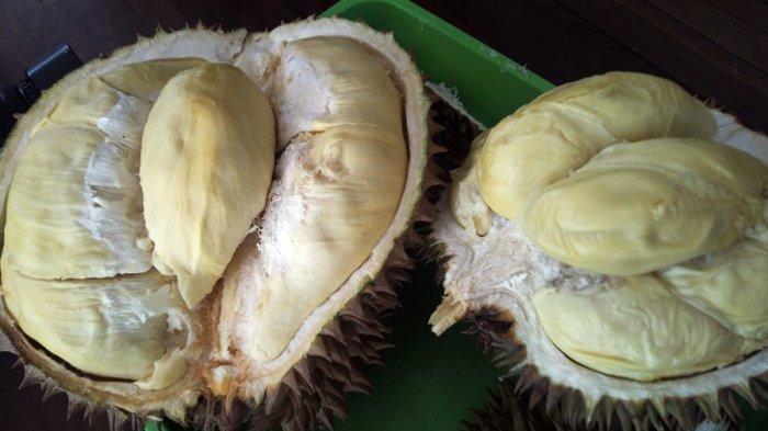 Terlacak Laris, Berikut 5 Jenis Durian Banyak Diburu Pecinta si Raja ...