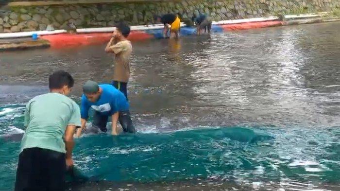 Ini yang Bikin Warga Setia Jalani Tradisi Cuci Karpet Masjid Jelang ...