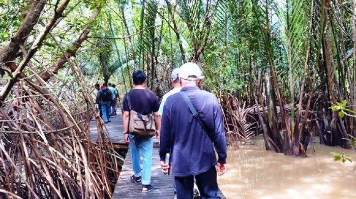 Eksotisme Kawasan Mangrove Muara Ijo Kebumen: Dari Kepiting Bakau ...