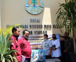 BKSDA Jateng Kembalikan 47 Burung Kakatua Jambul Kuning ke Habitatnya ...
