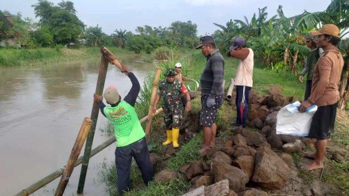 Kodim Demak Bersama Warga Wonorejo Perbaiki Tanggul Sungai yang Jebol - Tribunjateng.com