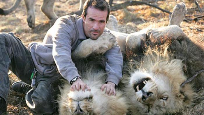 VIDEO: Inilah Resep Bercanda Dengan Singa Ganas ala Kevin Richardson ...