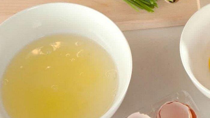 Enam Alasan Putih Telur Baik untuk Kesehatan - Tribunjateng.com