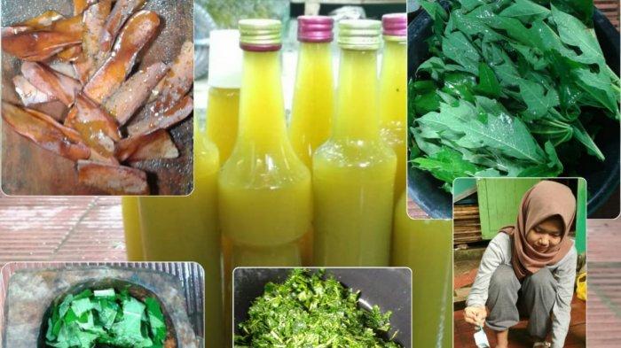 Prodi Magister Agribisnis FPP Undip Jadikan Agrokompleks Sebagai ...