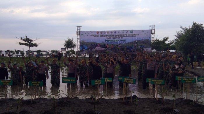 Kodam IV Diponegoro Tanam 59.725 Bibit Mangrove di Pantai Tirang ...