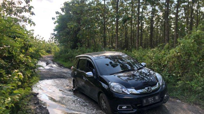 Jalan Jati - Kunduran Blora Masih Banyak yang Berlubang - Tribunjateng.com