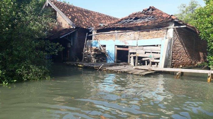 Kisah Warga Sayung Demak jawa Tengah Bertahan Hidup dari Abrasi dan Rob ...