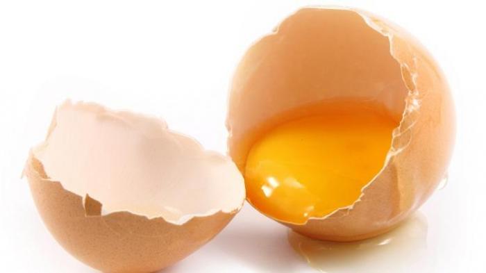 Cara Cepat Membedakan Telur yang Masih Segar dengan yang Sudah Busuk ...