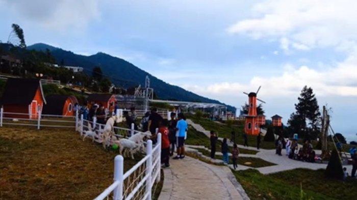 Siswono Yudo Husodo Buka Little Ranch, Peternakan Ala Eropa di Umbul ...