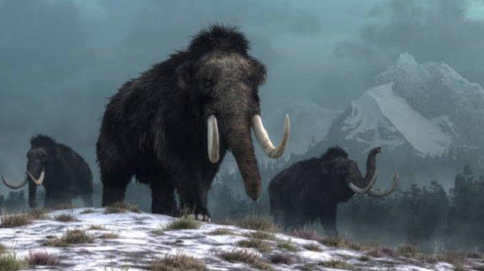 Mammoth Terakhir yang Hidup di Bumi Mati Akibat Kualitas Air di Pulau ...