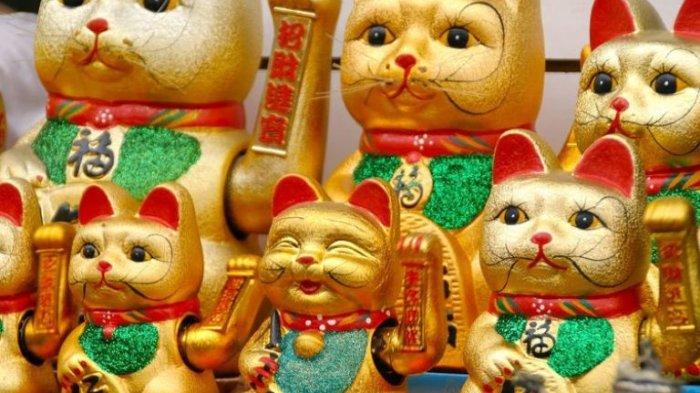 10 Fakta Unik Kucing Calico yang Jadi Patung Kucing Cina Pembawa ...