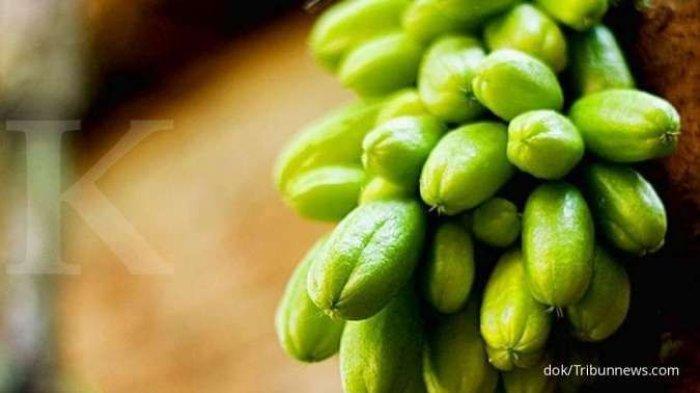 Bunga Belimbing Wuluh Ampuh Redakan Batuk, Begini Cara Mengonsumsinya ...